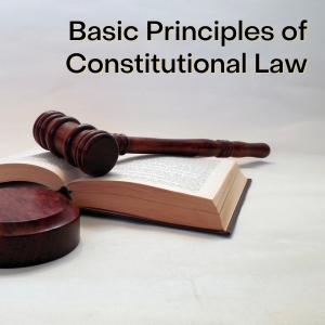 Studying the fundamental principles and structure of constitutional law ...