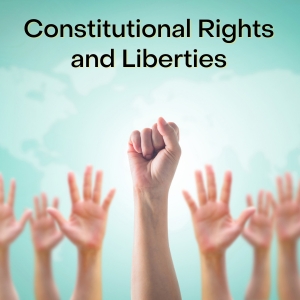 Studying the fundamental principles and structure of constitutional law ...