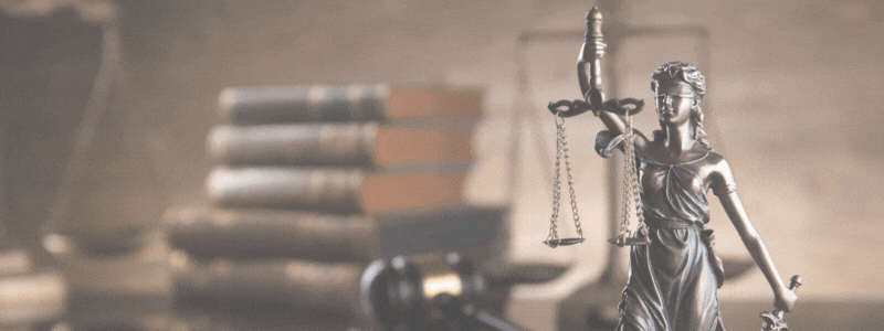 The Impact of Diversity and Inclusion in the Legal Profession