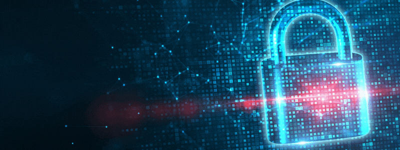 The Surprising Benefits of Learning Cyber Security